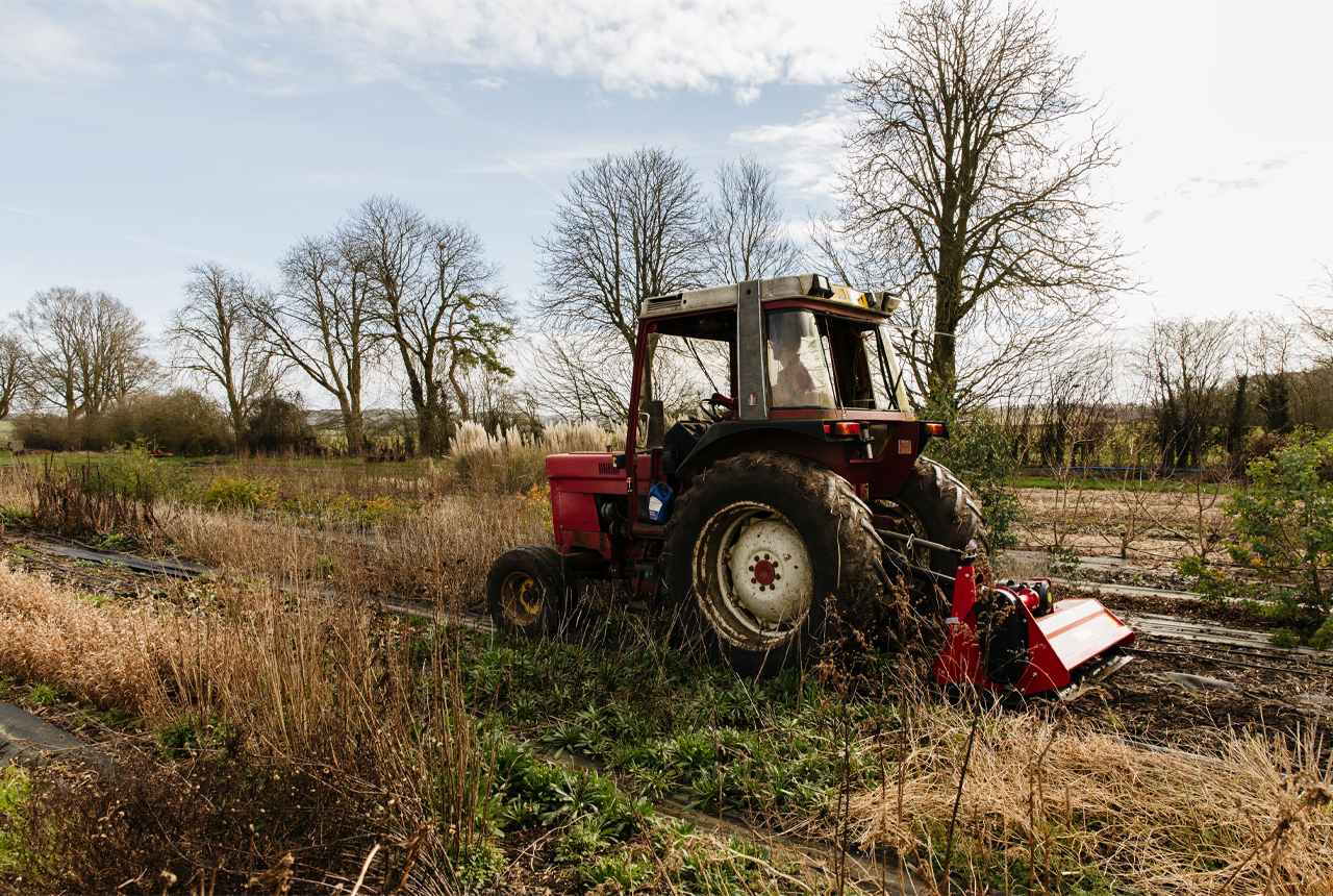 The {Farmer} & The Florist Interview: Rachel Siegfried - Floret Flowers
