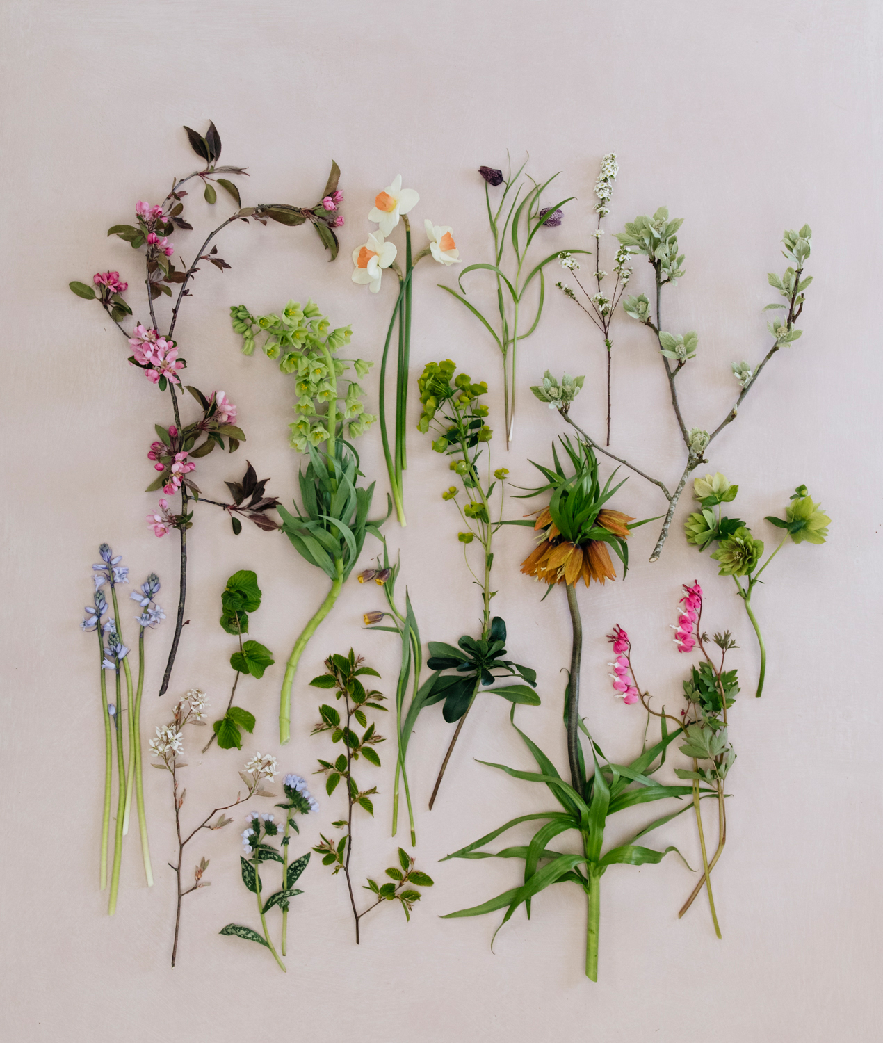 The {Farmer} & The Florist Interview: Rachel Siegfried - Floret Flowers