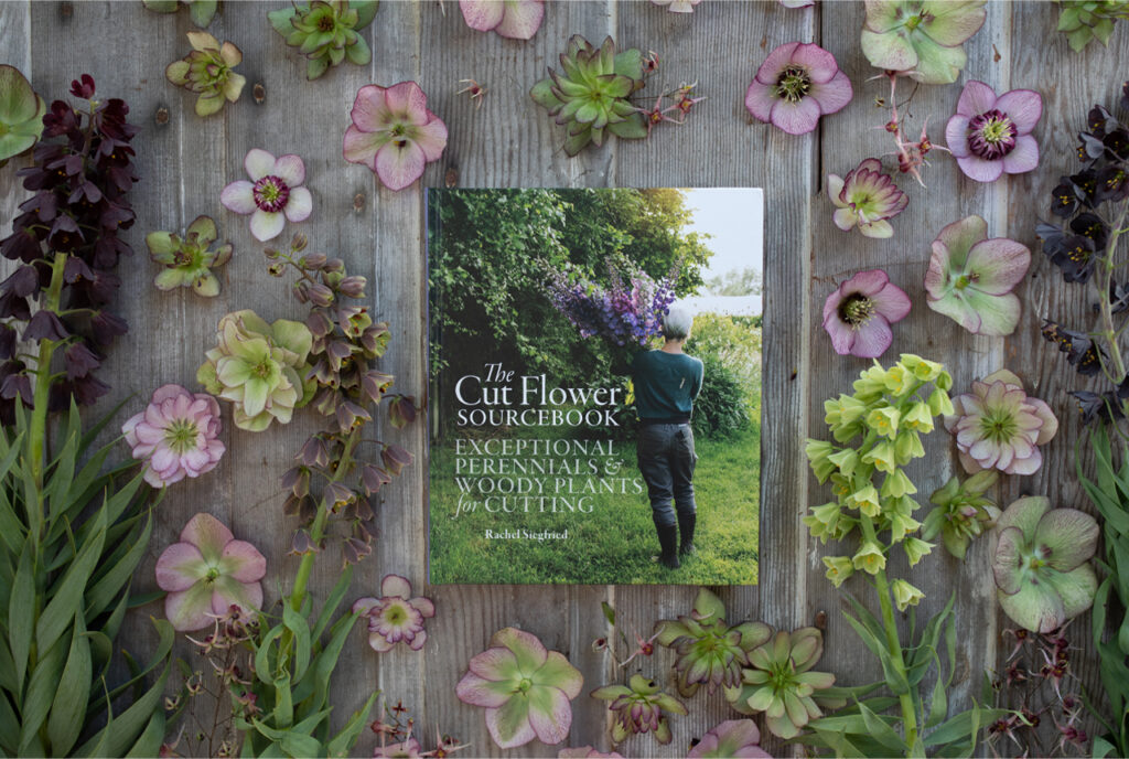 The {Farmer} & The Florist Interview: Rachel Siegfried - Floret Flowers