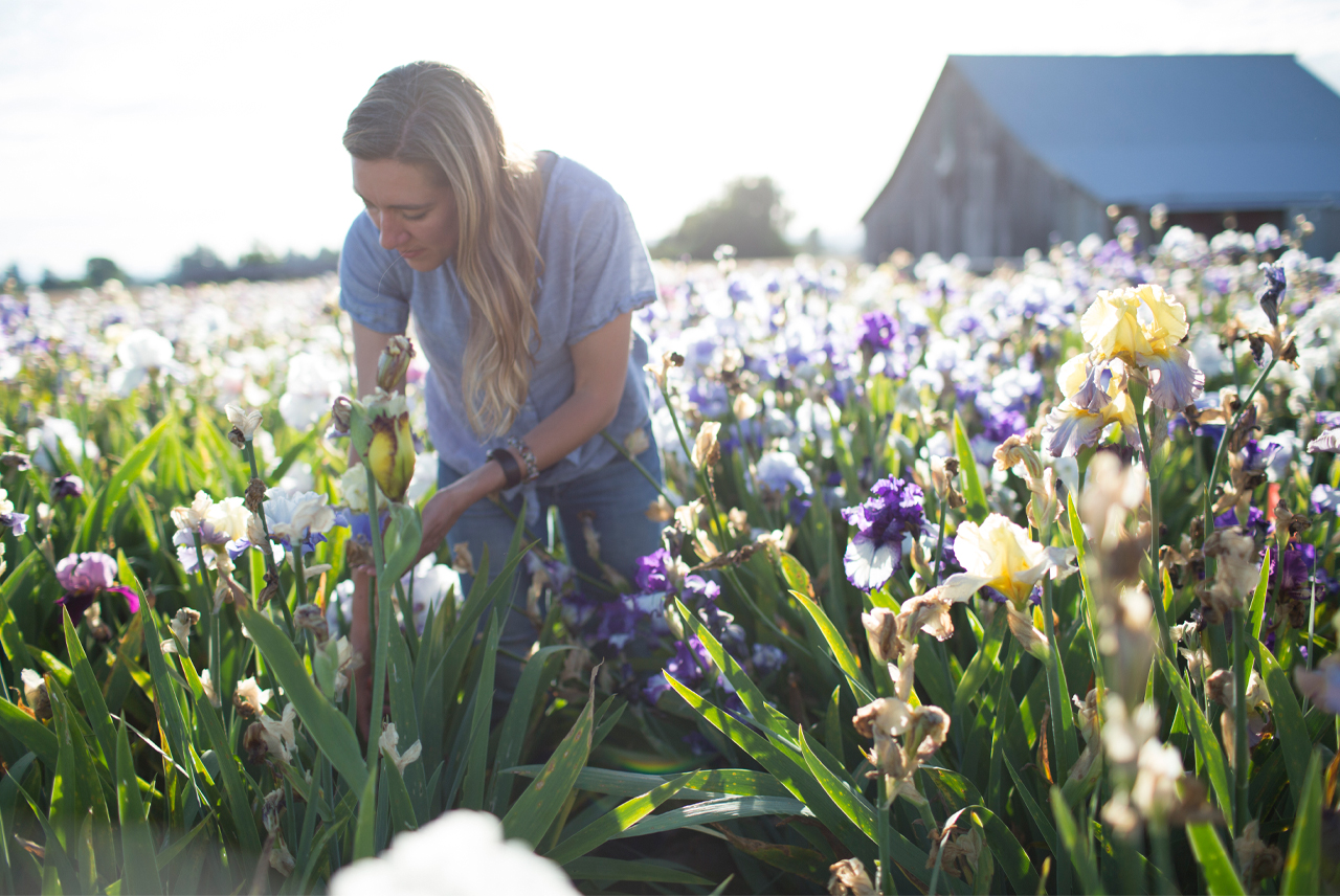 Favorite Bulb & Plant Sources - Floret Flowers