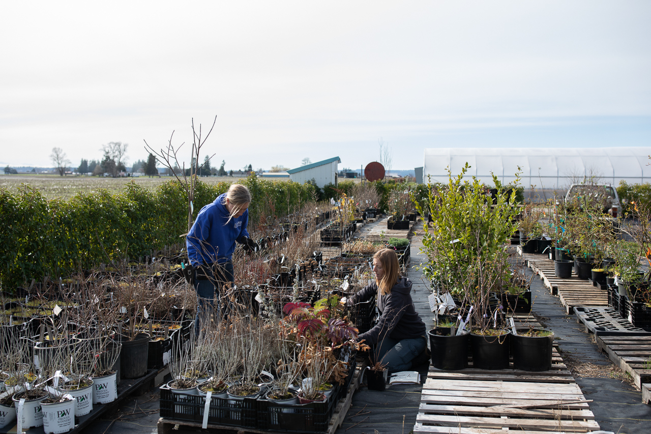 The Making of a Place: Designing the New Farm - Floret Flowers