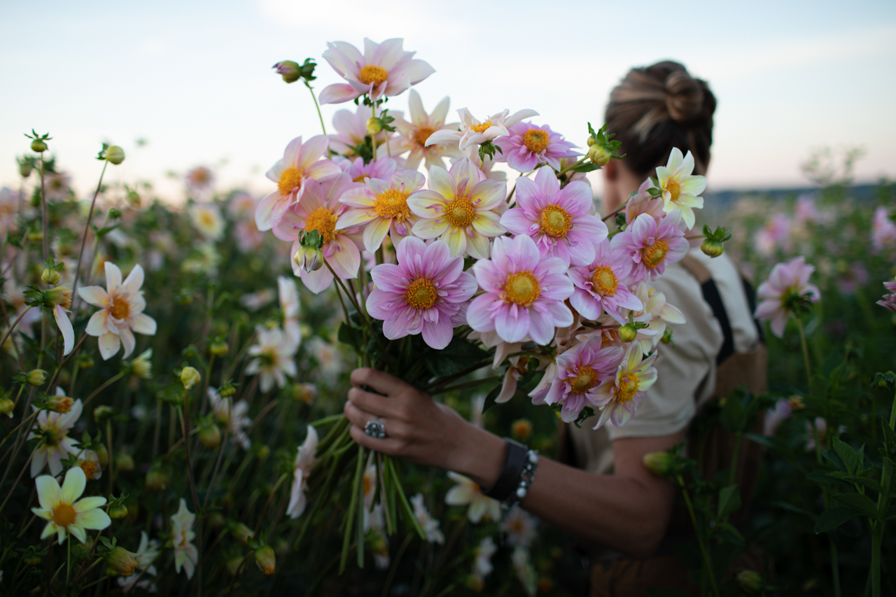 Floret Originals: Your Questions Answered - Floret Flowers