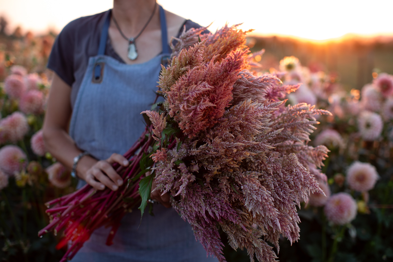 Meet the Floret Originals - Floret Flowers