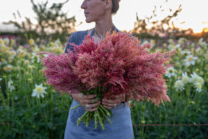 Meet the Floret Originals - Floret Flowers