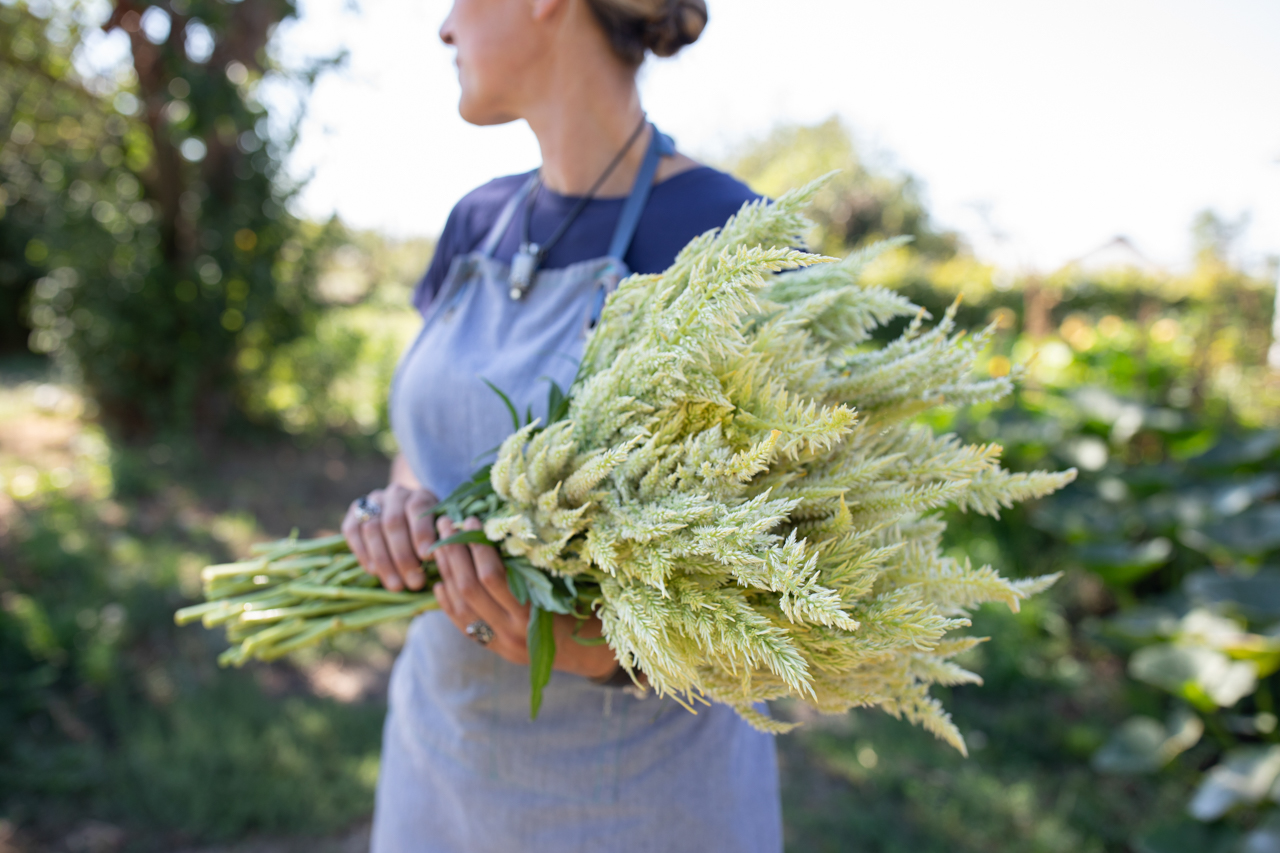 Meet the Floret Originals - Floret Flowers