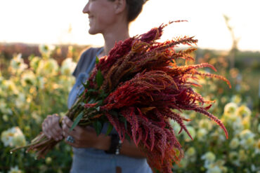 Meet the Floret Originals - Floret Flowers