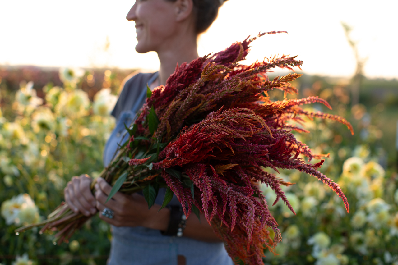 Meet the Floret Originals - Floret Flowers