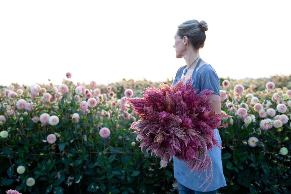 Meet the Floret Originals - Floret Flowers