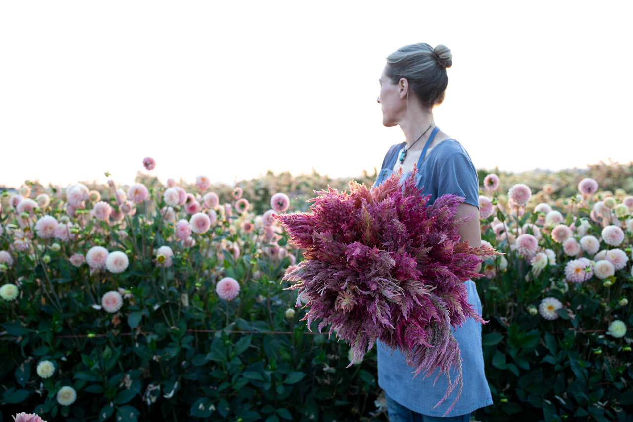 Meet the Floret Originals - Floret Flowers
