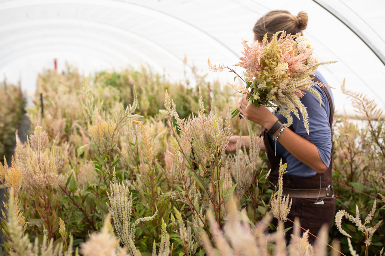 Meet the Floret Originals - Floret Flowers