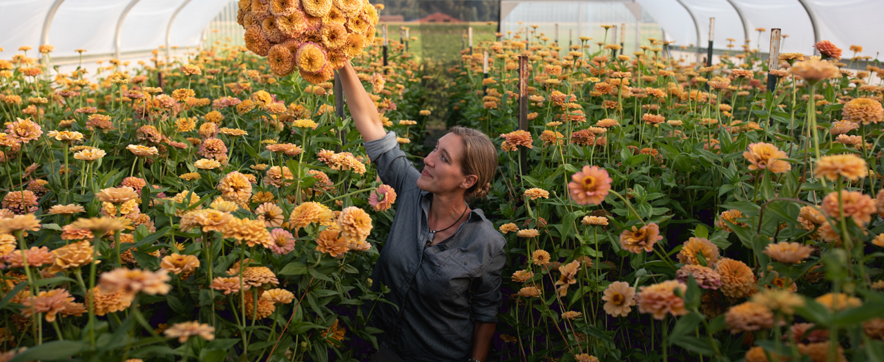 Floret Originals: Your Questions Answered - Floret Flowers