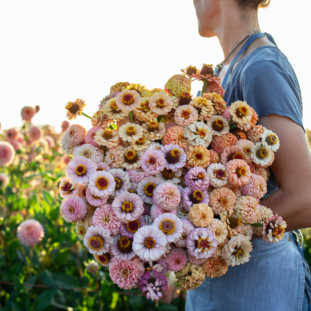 Floret Flowers - We are a small family farm in Washington's Skagit Valley
