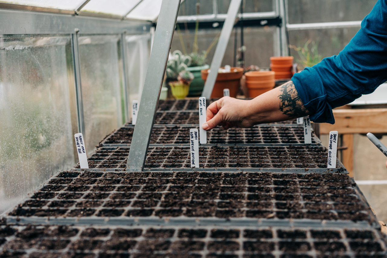 Author Interview: Brenna Estrada - Floret Flowers