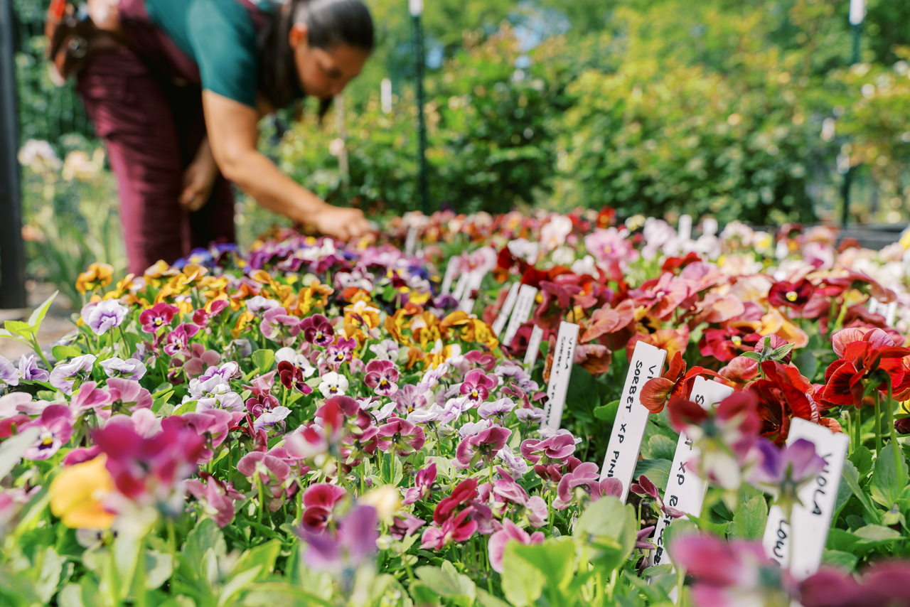 Author Interview: Brenna Estrada - Floret Flowers