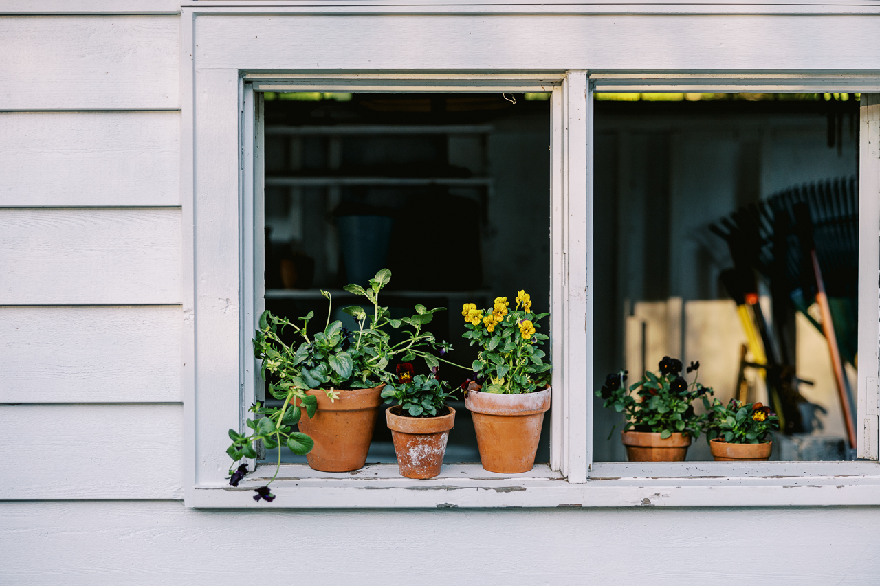 Author Interview: Brenna Estrada - Floret Flowers