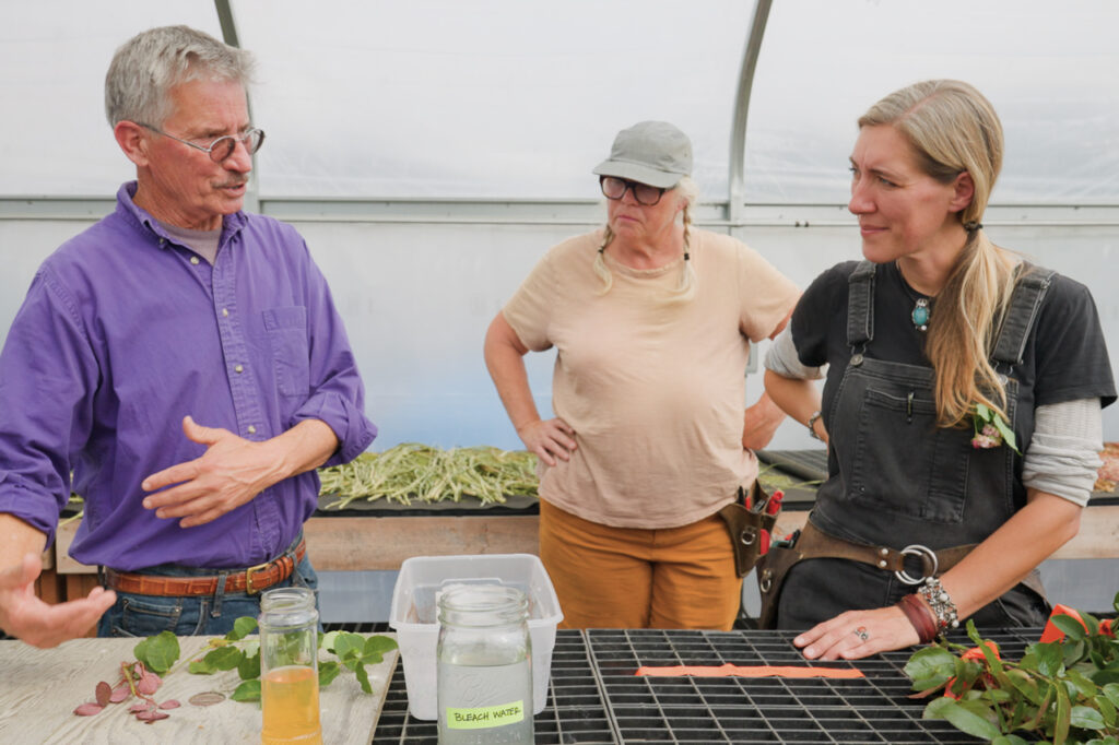 The Rose Ark: Our Journey to Preserve Heritage Roses - Floret Flowers